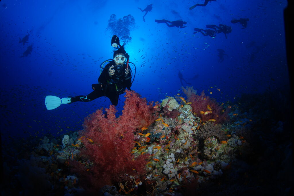 Baromedical Red Sea Egypt